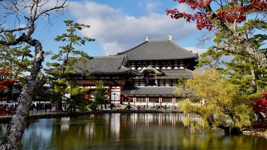 Nara: 3 UNESCO Sites Tour with Big Buddha & Deer - What to Expect: Experience and Practicalities