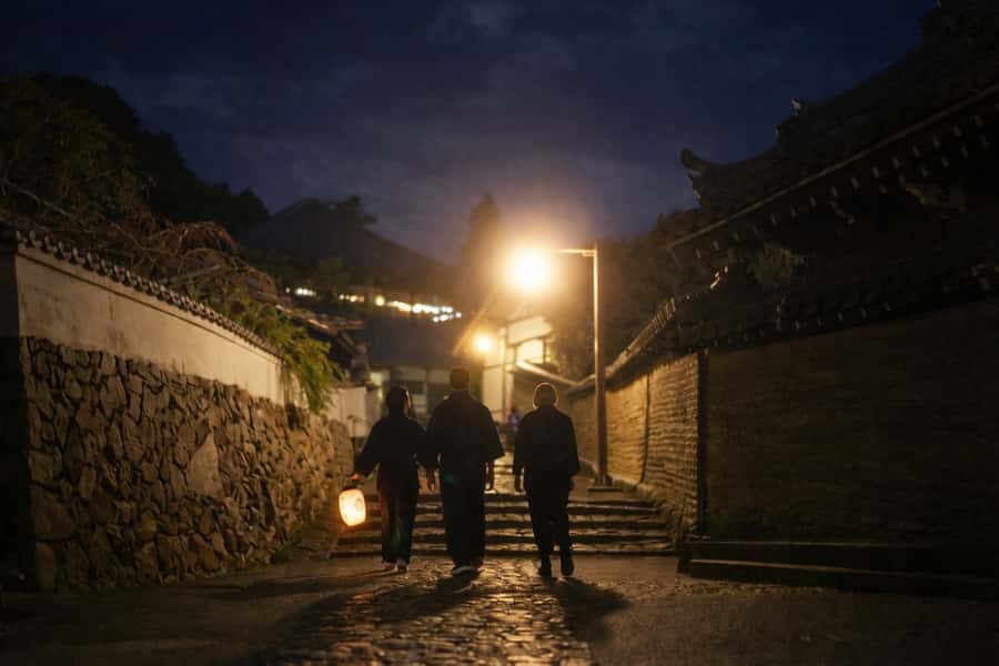 Nara After Dark: Sacred Deer, Lantern Walk with Hidden Views - Walking Through Nara’s Hidden Night Views