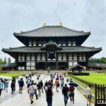 Nara: Deer Park & UNESCO Sites Day Trip with Hotel Pickup - Who Should Consider This Tour?