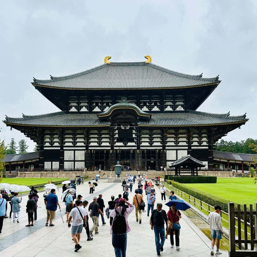 Nara: Deer Park & UNESCO Sites Day Trip with Hotel Pickup - Who Should Consider This Tour?