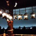 Nara: Discover Timeless Beauty in a Peaceful Night Stroll - The Practicalities: Price, Duration, and Logistics