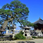 Nara: Dusk Walk with Calligraphy and Lanterns - An Authentic Look at Nara’s Evening Charm