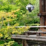Nara: Explore Hasederas Giant Kannon and Cliffside Temple - Who Would Appreciate This Tour?