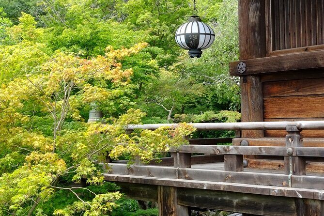 Nara: Explore Hasederas Giant Kannon and Cliffside Temple - Who Would Appreciate This Tour?