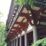 Nara: Explore Tanzan Shrines Pagoda and Sacred History - What to Expect and Practical Tips
