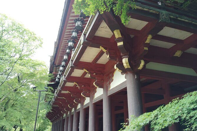 Nara: Explore Tanzan Shrines Pagoda and Sacred History - What to Expect and Practical Tips