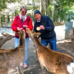 Nara: Half-Day Private Tour of 4 Must-See Spots & Deer Park - Why This Tour Is a Great Value