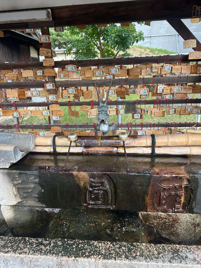 Nara: Half-Day Walking Tour | Spanish Private - The Itinerary Breakdown: What You’ll Experience