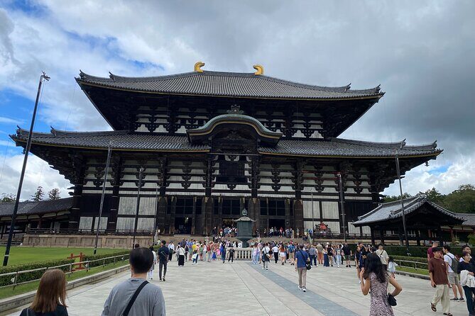 Nara Highlights Guided Tour by Private Car from Osaka - What the Reviews Say