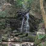 Nara: Mt. Ikoma Guided Hiking Tour with Cable Car and Views - What to Expect in Practice