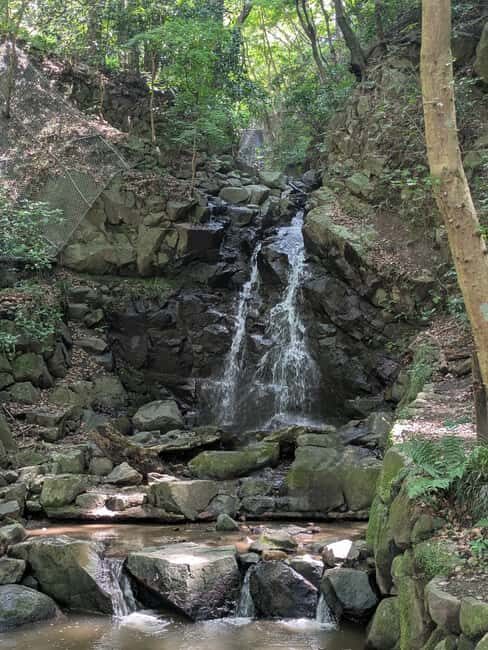 Nara: Mt. Ikoma Guided Hiking Tour with Cable Car and Views - What to Expect in Practice