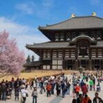 Nara: Private Full-Day Tour with Licensed Guide - What Reviewers Say