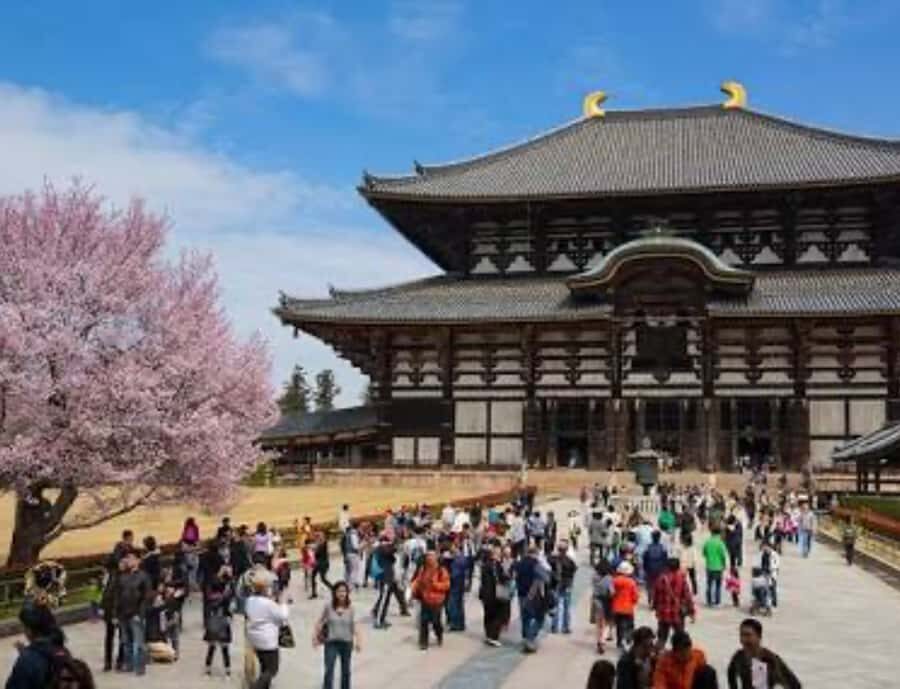 Nara: Private Full-Day Tour with Licensed Guide - What Reviewers Say