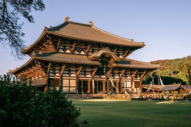 Nara Private Personalized Tour with a Local: Highlights & Gems - Detailed Experience Breakdown