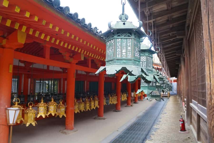 Nara Revealed: Ancient Temples, Sacred Deer & Local Stories - Practical Details and Considerations