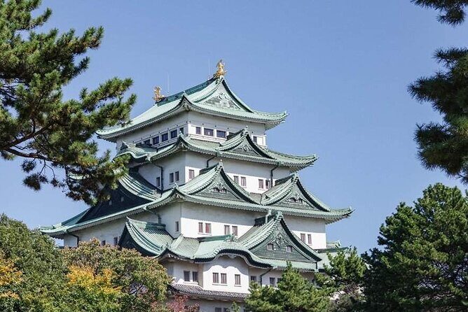 Nara, Todaiji Temple and Kuroshio Market One Day Tour from Osaka - Who is This Tour Best For?