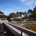 Nara & Uji Private Day Tour - Kyoto Comfort Culture Focused - What Travelers Say