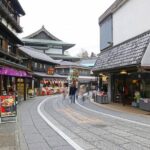 Narita Airport Layover Transit: Guided Private Tour - Sake Tasting at the Brewery
