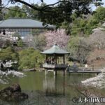 Narita: Naritasan Shinshoji Temple Layover Tour from Airport - The Practical Side: What to Expect and Why It Matters