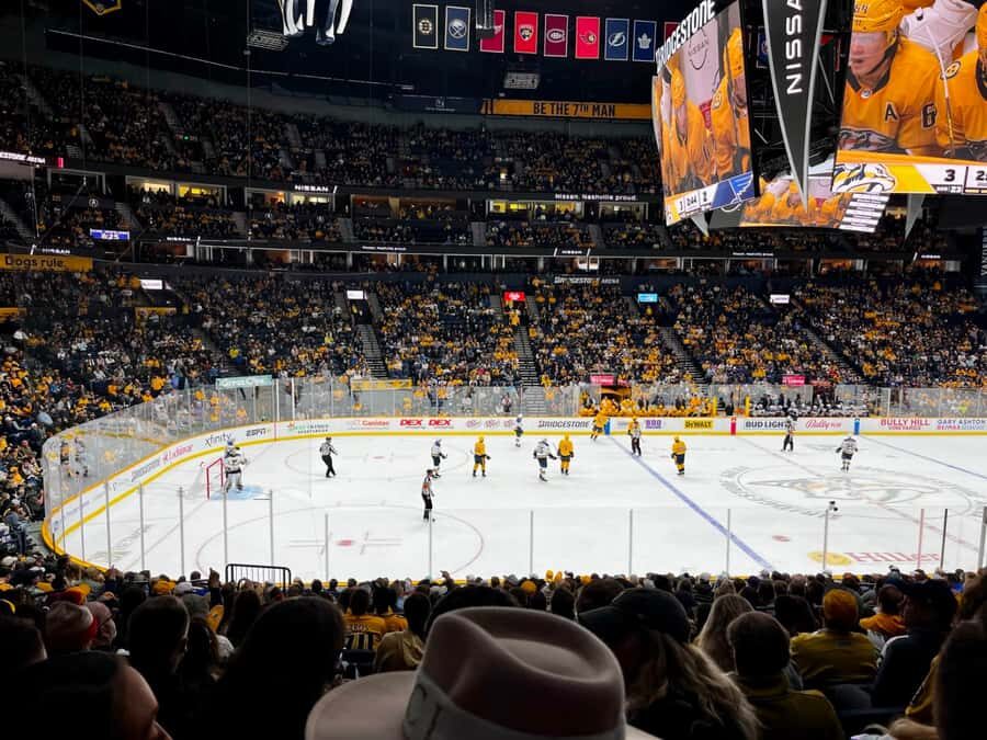 Nashville: Nashville Predators Ice Hockey Game Ticket - Who Will Love This Experience?