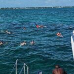Nassau 3-stops: Snorkeling, Swimming Pigs, Turtles & Lunch - The Itinerary: The Heart of the Tour
