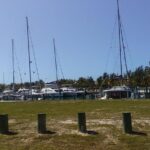 Nassau Airport to Palm Cay - group transportation in comfort - What Travelers Say: Authentic Feedback