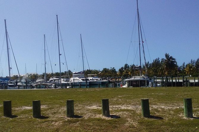 Nassau Airport to Palm Cay - group transportation in comfort - What Travelers Say: Authentic Feedback