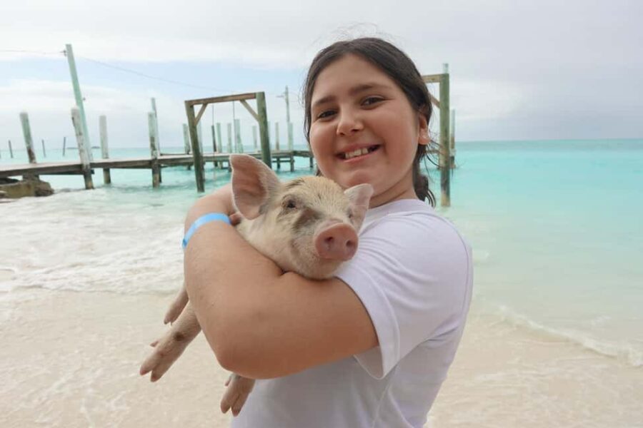 Nassau ATV & Swimming Pigs Tour - The Experience Details: What You Need to Know
