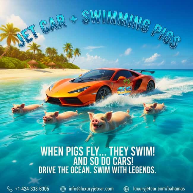 Nassau Bahamas: Jetcar Excursion to Pig Island Tour - What Makes This Tour Special?