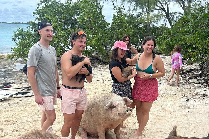 Nassau Bahamas Jetcar Excursion to Pig Island - Practical Tips for Your Tour