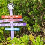 Nassau: Beach Day at SunCay incl. Lunch - Boat Tour - A Well-Balanced Itinerary