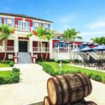 Nassau City Tour: Discover the Charms of Old Charles Town - What Real Guests Say