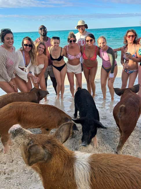 Nassau: Full-Day Party Catamaran with Private Beach & Lunch - Practical Details and Worthwhile Considerations