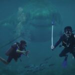 Nassau: Pearl Island Day Trip with Lunch and Snorkeling - The Practical Side: Logistics and Value