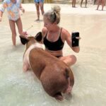 Nassau: Pigs, Snorkel, Turtles, Lunch, Private Beach Club - What to Expect Day of the Tour