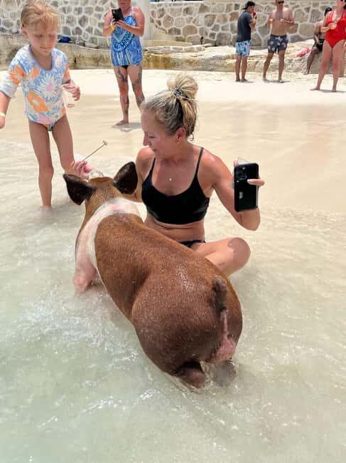 Nassau: Pigs, Snorkel, Turtles, Lunch, Private Beach Club - What to Expect Day of the Tour