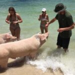 Nassau: Private Swim with Pigs and Snorkeling Adventure - The Itinerary in Detail