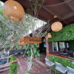 Nassau: Reef Snorkeling, Turtles, Lunch & Private Beach Club - Practicalities and What to Know Before Booking