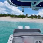 Nassau: Rose Island Swimming Pigs & Turtles Snorkeling Tour - What’s Included and Practical Details