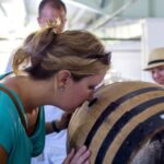Nassau: Rum Tastings and Culinary Walking Tour - What to Expect and Practical Tips
