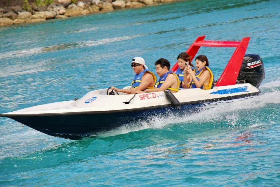 Nassau: Self-Drive Speedboat Ride and Pig Swimming Encounter - Who Will Love This Tour?