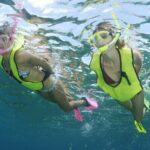 Nassau Shore Excursion: Bahamas Snorkel Adventure - What to Expect on Your Snorkel Tour