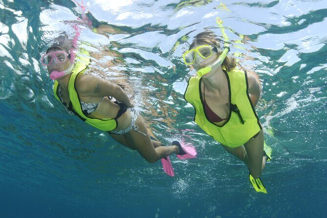 Nassau Shore Excursion: Bahamas Snorkel Adventure - What to Expect on Your Snorkel Tour