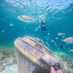 Nassau: Sun Cay Day Trip, Snorkel, Iguana Encounter, & Lunch - Practical Details and What to Keep in Mind