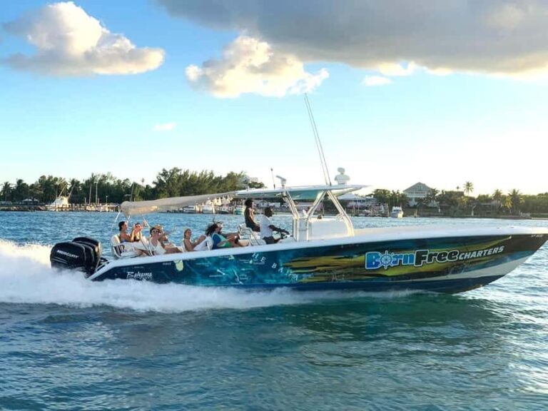 Nassau: Swimming Pigs, Snorkel and Lunch by Speed Boat - Transportation and Group Dynamics