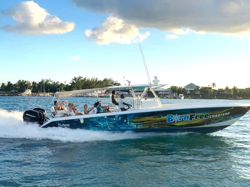 Nassau: Swimming Pigs, Snorkel and Lunch by Speed Boat - Transportation and Group Dynamics