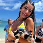 Nassau: Swimming Pigs, Snorkeling, Lunch, & Beach Boat Tour - Detailed Breakdown of the Itinerary