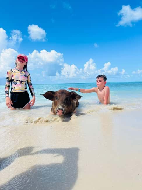 Nassau: Swimming Pigs, Turtles, Snorkel & More - The Itinerary in Detail