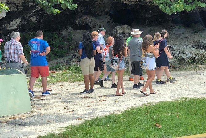 Nassau Transportation - The Realities of the Service: Pros and Cons