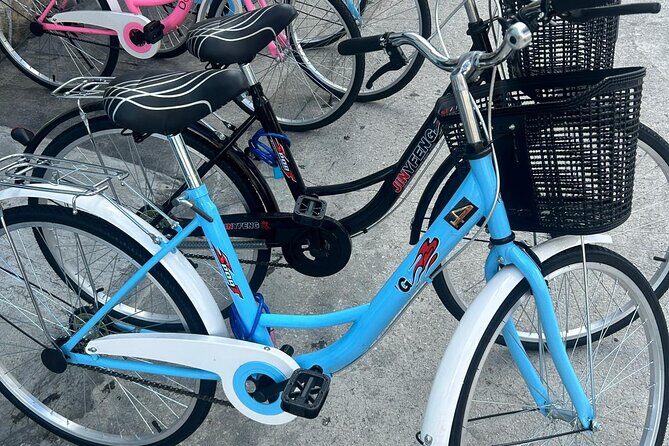 Nassaushores Bicycle Rentals - The Pros and Cons of This Self-Guided Nassau Bike Tour